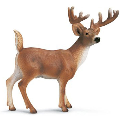 White Tailed Buck – Givens Books & Little Dickens