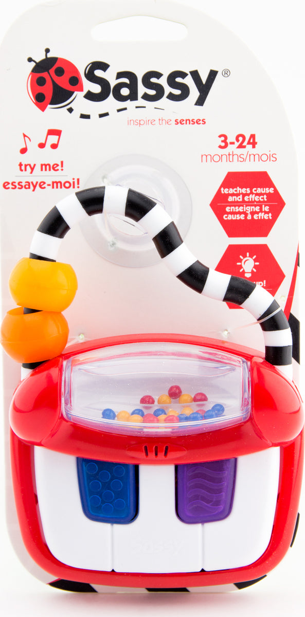Sassy Keyboard Classics Developmental Toy – Givens Books & Little Dickens